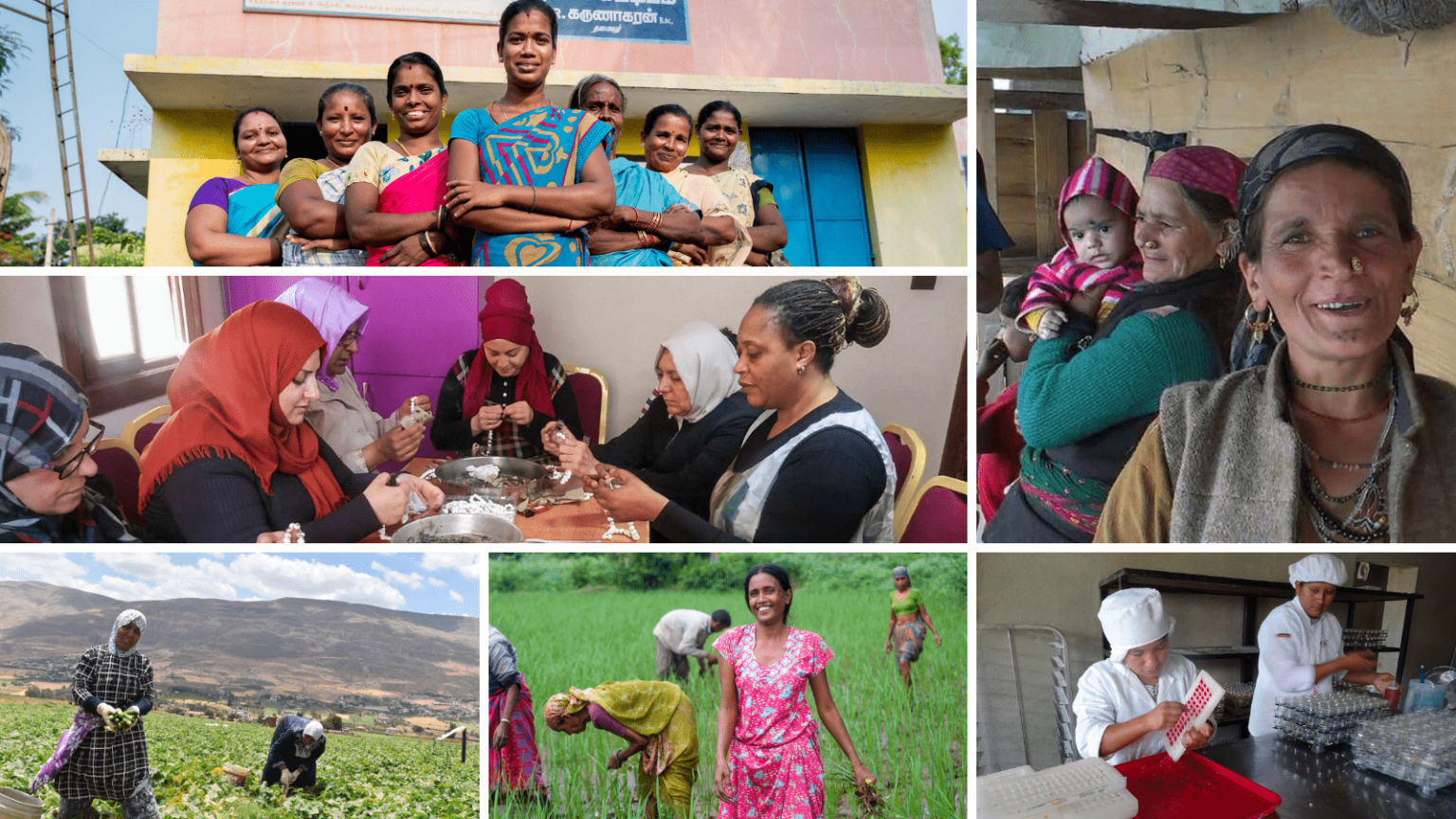 Skill Development & Livelihood – SJPS Welfare Foundation